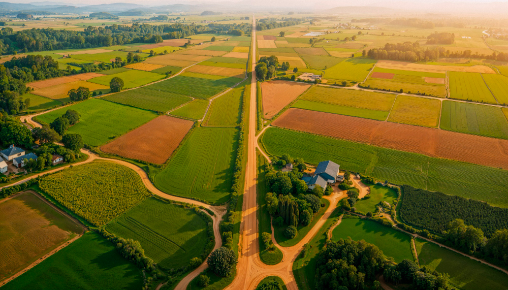 Hectare ou alqueire: quando usar cada medida? - Vertice